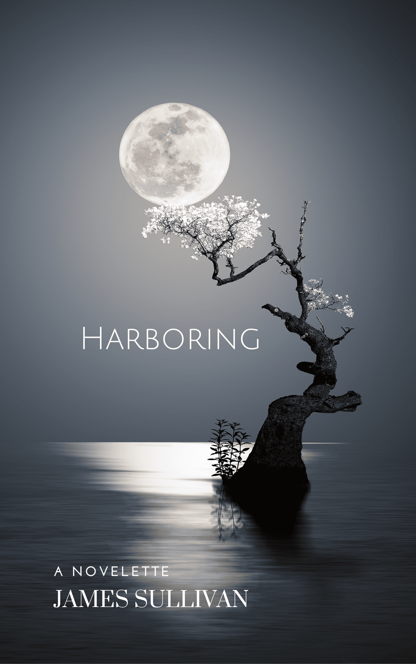 Harboring | ELJ Editions